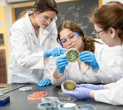 Bachelor of Biology | Chatham University