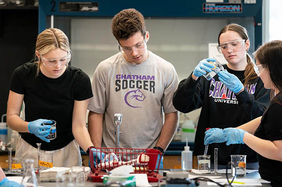 Nursing (RN-BSN, Online) | Chatham University